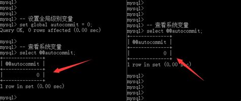 史上最简单的 Mysql 教程（三十一）「数据库变量」数据库用户变量有什么用处 Csdn博客