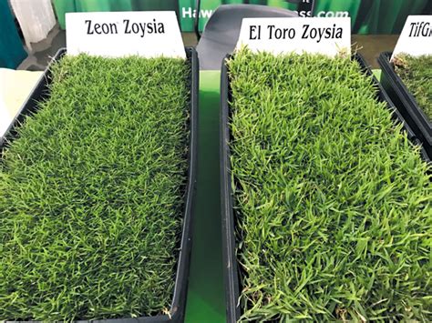 Lawns With A ‘wow Factor Hawaiian Turfgrass Hawaii Renovation