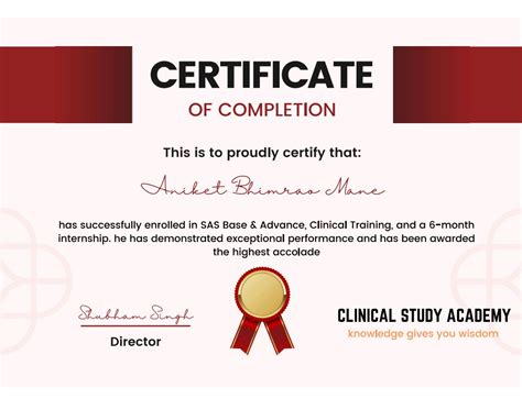 aniket mane on linkedin clinicalsas sasprogramming basesas advancesas