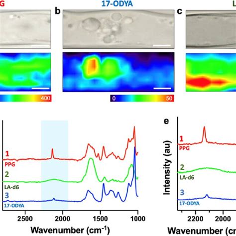 Raman Probe Localization In By 2 Cells A−c Localization Of A Ppg