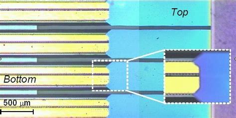 Compound Image In Optical Microscope Showing Precise Lateral Alignment Download Scientific