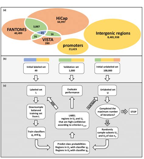 A Venn Diagram Of Putative Enhancer Sets Promoters And Intergenic