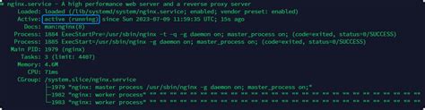 How To Set Up A Webserver Using Nginx August 2025 Rocketnode Com