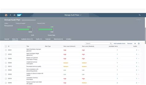 Sap Audit Management Internal Audit Management
