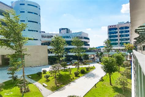 光明区建筑工务署高效推进5所学校全部落成交付 深圳政府在线深圳市人民政府门户网站