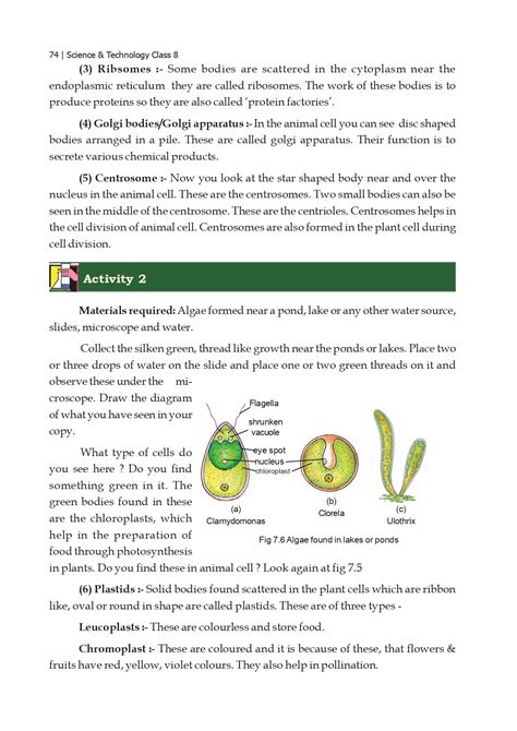 CG Board Class Science Book PDF Download Chhattisgarh Board Textbook AglaSem