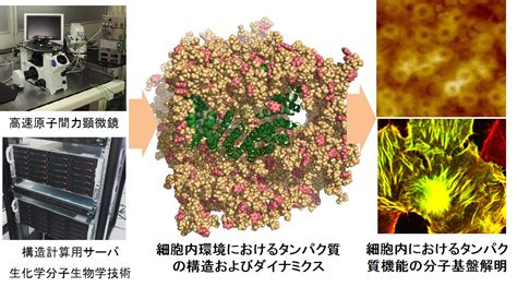 以前のページ2023 04 京都大学大学院生命科学研究科分子情報解析学分野