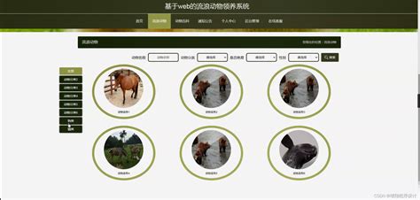 Java基于web的流浪动物领养系统开题 源码 CSDN博客