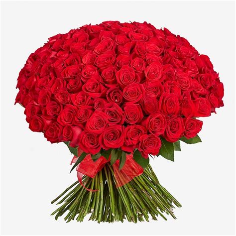 150 Red Roses Delivery In Saudi Arabia