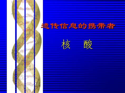核酸word文档在线阅读与下载免费文档
