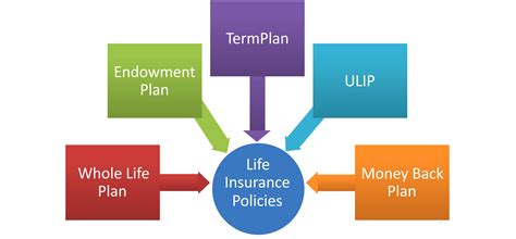 Type Of Life Insurance Policy