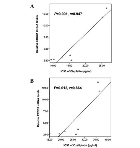 Excision Repair Cross Complementing 1 Ercc1 Expression Levels Are