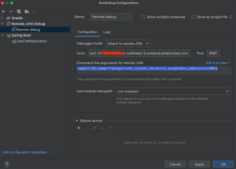 Java Remote Debugging