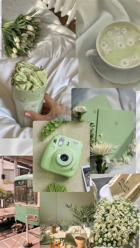 Iphone Wallpaper Classy Sassy Wallpaper Cute Tumblr Wallpaper Cute