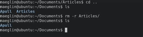Linux Terminal 101