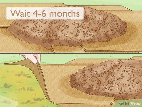 Effective Ways To Prevent Grass From Growing