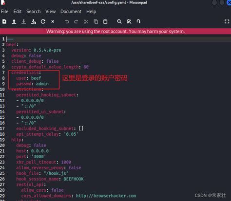Xss 工具 Beef Xss安装以及使用 腾讯云开发者社区 腾讯云