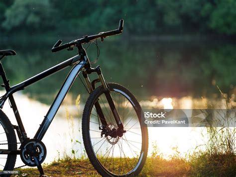 자전거는 강가의 숲에 있습니다 활동적인 라이프스타일과 여름 카피 스페이스의 사이클링 강에 대한 스톡 사진 및 기타 이미지 강 관광 배경 주제 Istock