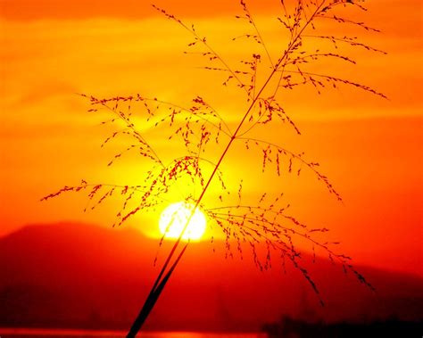 Sunny Flickr