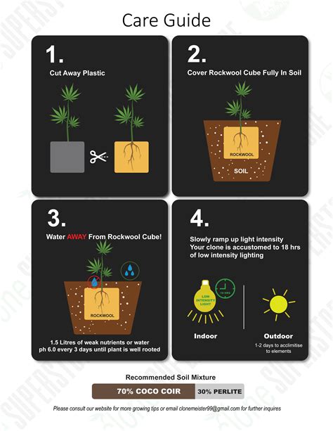 Caring For Your New Clone CLONE SUPERSTORE