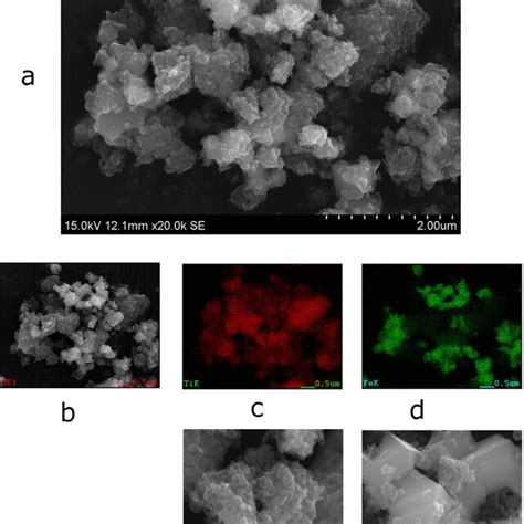 Magnification Sem Image Of The Composite A Low Magnification Sem Download Scientific Diagram