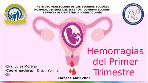 Hemorragias Del Primer Trimestre Del Embarazo Diapositivas De