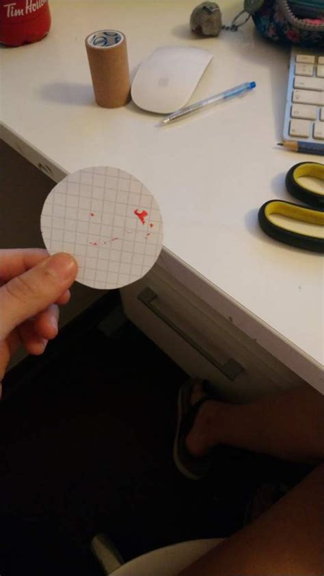 DIY Miraculous Del Conejo Alfrely Amino