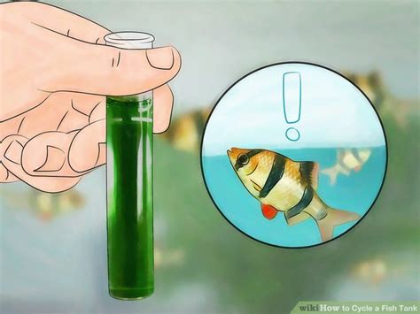 5 Ways To Cycle A Fish Tank Wikihow