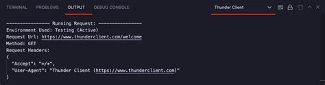 Logs Thunder Client Docs