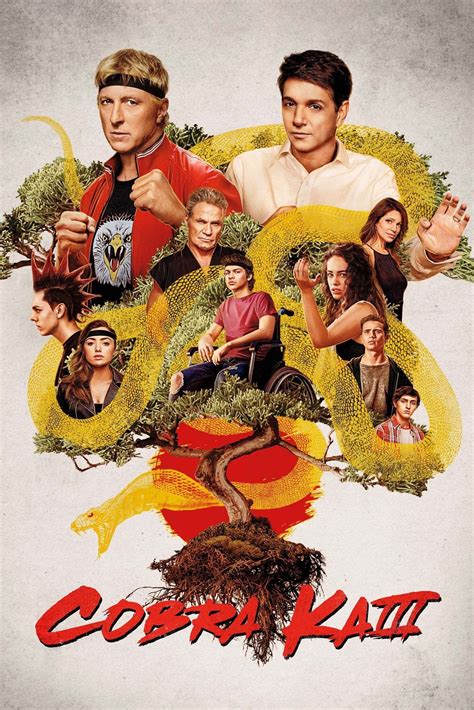 Cobra Kai TV Series 2018 Pósteres The Movie Database TMDb
