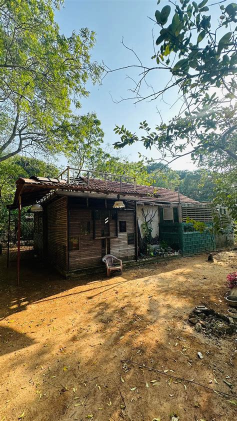 Ktg Upland Ktg Upland Added A New Photo — At කතරගම