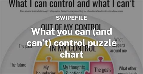 What You Can And Cant Control Puzzle Chart Swipefile