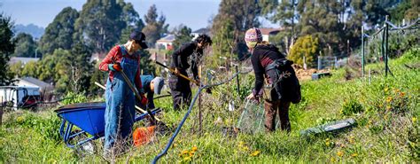 Sustainable Urban Agriculture Planting Justice