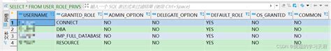 Oracle Csdn