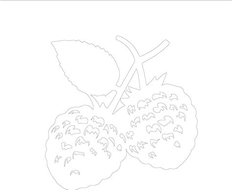 Raspberry Outline Silhouette 38494257 Vector Art At Vecteezy
