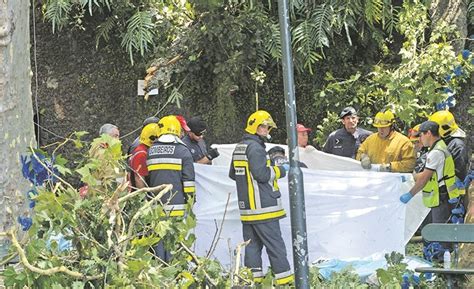 Falling Oak Tree Crushes Crowds At Christian Festival In Madeira