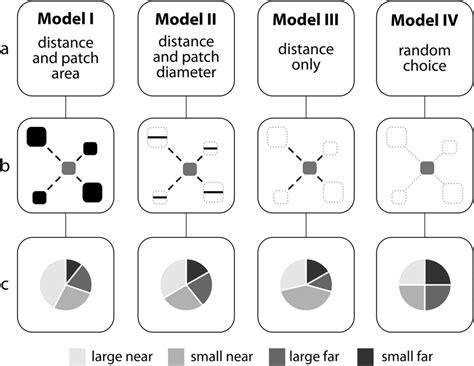 models of patch attractiveness and derived predictions a the