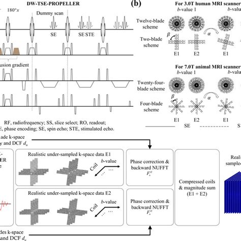 A The Dw Tse Propeller Sequence Diagram B Dw Tse Propeller K Space Download Scientific
