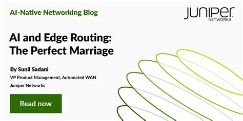 Ai And Edge Routing The Perfect Marriage Official Juniper Networks Blogs