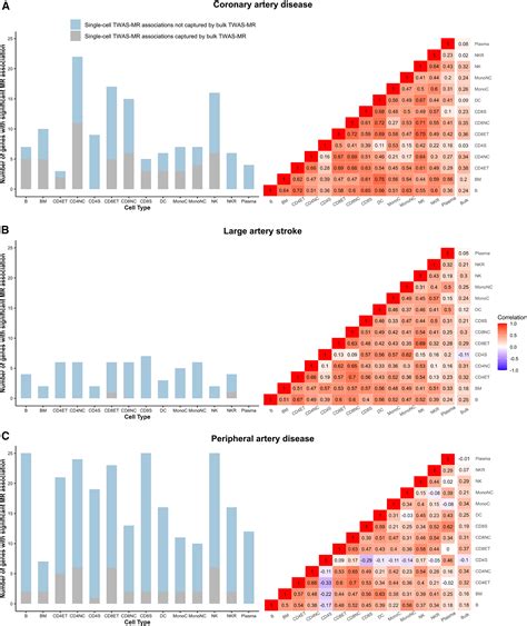 Single Cell Transcriptome Wide Mendelian Randomization And