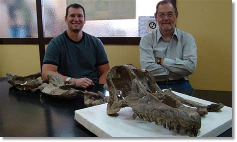 El Cráneo De Un Dinosaurio Patagónico Sorprende A La Comunidad