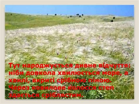 7 природних чудес україни Pptx