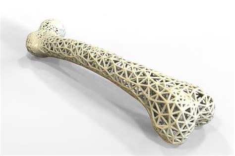 Femur Human Bone Free 3d Model 3ds Obj Sldprt Free3d