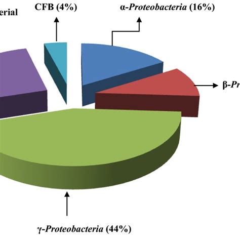 Relative Proportion Of Different Bacterial Taxa Derived From 15 Day