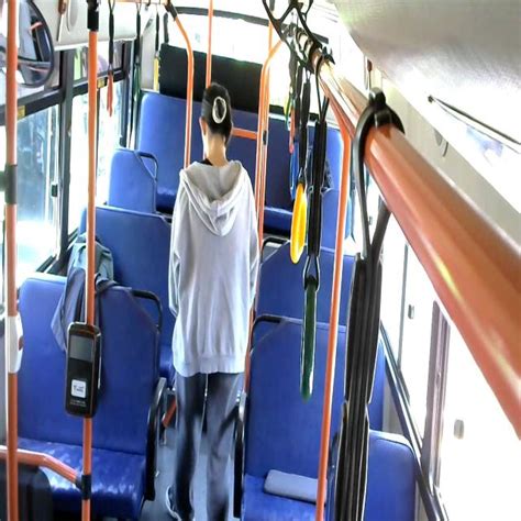 Object Detection In Public Vehicles Object Detection Dataset By