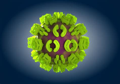Ross River Virus Particle Artwork Photograph By Science Photo Library