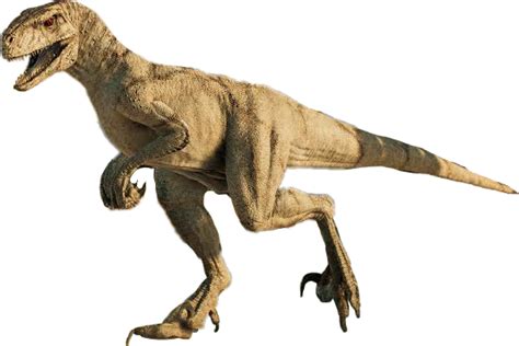 Bioraptor Manufactius Original Species Wiki Fandom