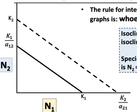 Lecture 19 20 Competition Flashcards Quizlet