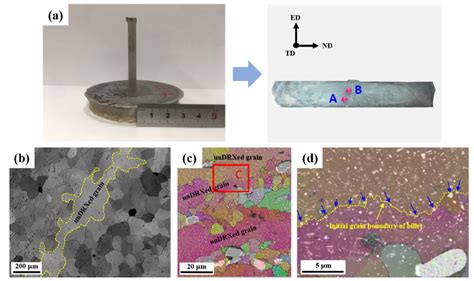 Influence Of Bi Addition On Dynamic Recrystallization And Precipitation