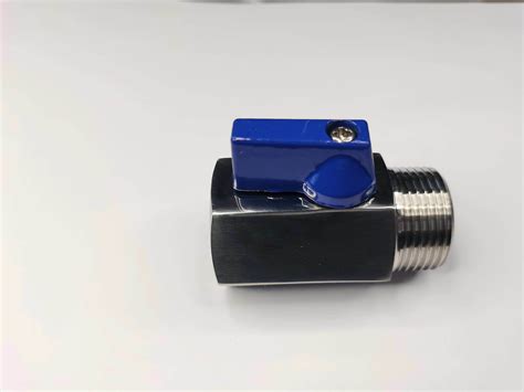 SS304 316 Stainless Steel Handle M F Thread BSPP BSPT NPT G Mini Ball